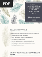 Poultry Fold Video | PDF