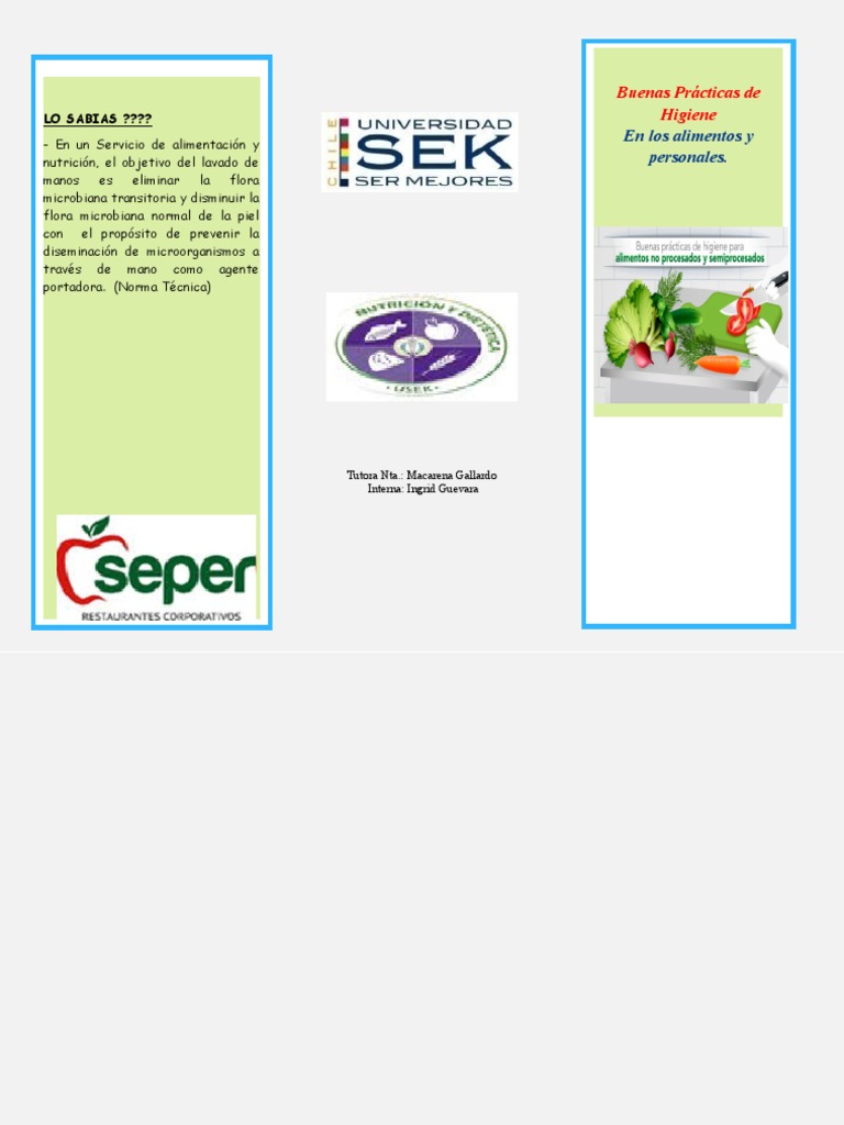 Triptico Buenas Practicas de Higiene | PDF | Lavado de manos | Medicina ...