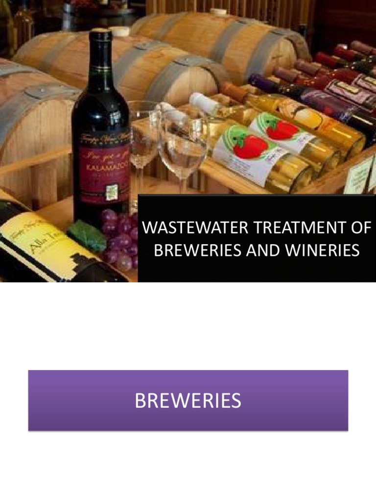 Waste Water Treatment For Brewery and Winery Industry | PDF | Brewing ...