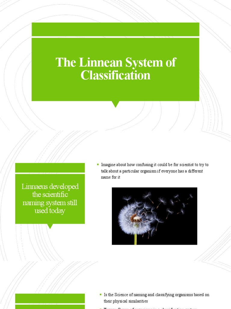 The Linnean System of Classification (1) | PDF