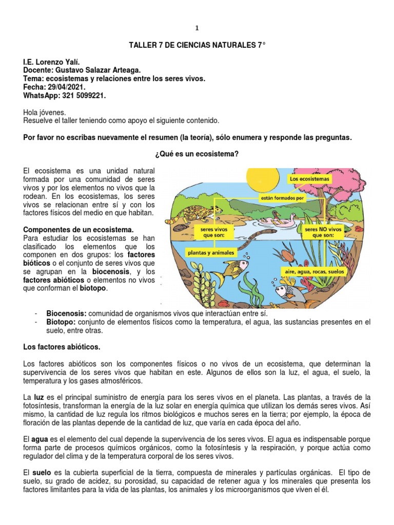 Taller 7 de Ciencias Naturales 7 | PDF | Ecosistema | Organismos