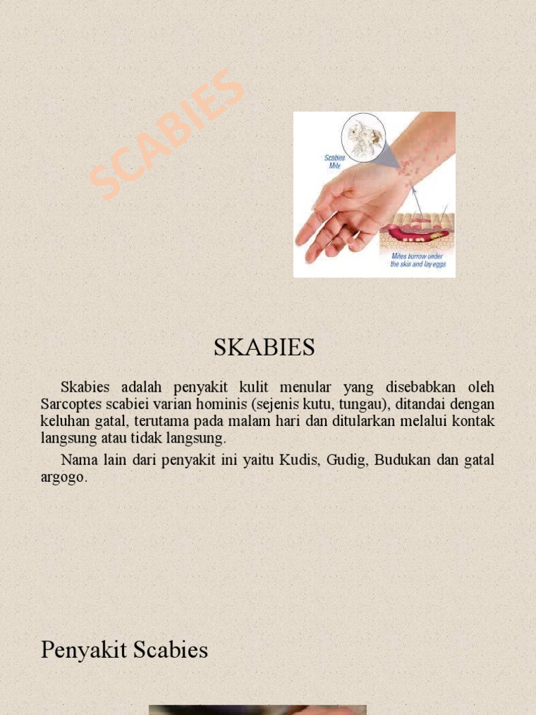 Panduan Lengkap Skabies | PDF