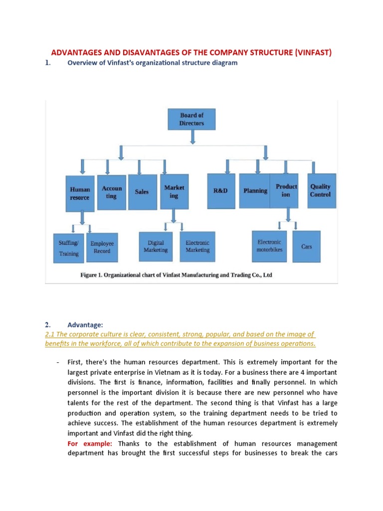VinFast Organizational Structure Analysis | PDF | Human Resources ...