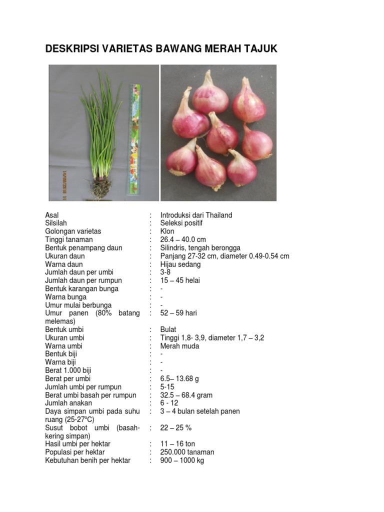 Deskripsi BWG Merah Tajuk | PDF | Griya & Taman