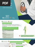 Sindrome Piramidal y Alternos | PDF | Neurociencia | Desórdenes ...