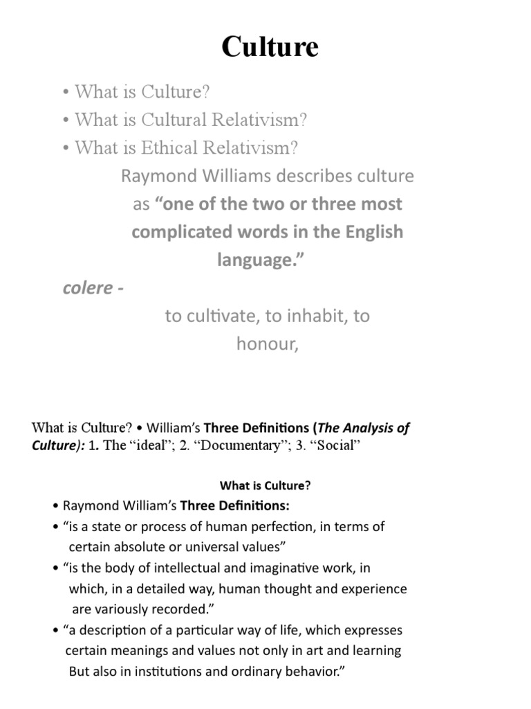 Culture (Philo 101) | PDF | Value (Ethics) | Relativism
