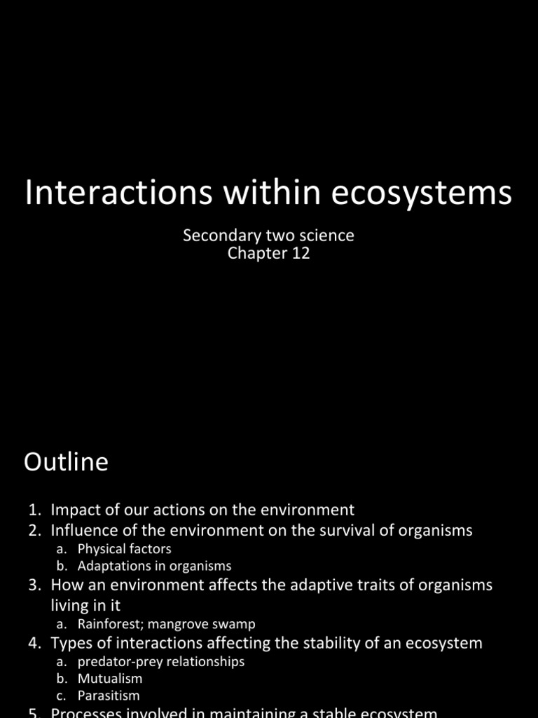 Interactions Within Ecosystems - Students | PDF | Food Web | Ecosystem