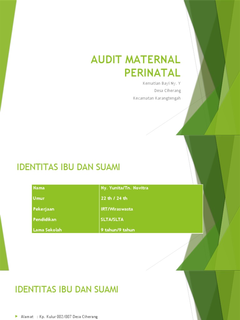 Audit Maternal Perinatal | PDF