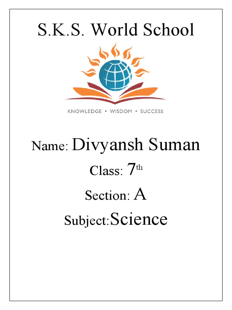 S.K.S. World School: Name: Class: Section: Subject | PDF