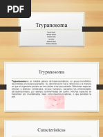 Triatominos: Vectores de Chagas | PDF | Biología