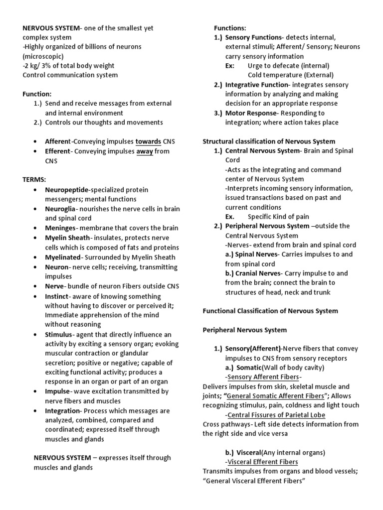 Lecture Notes Introduction To Nervous System | PDF | Central Nervous ...