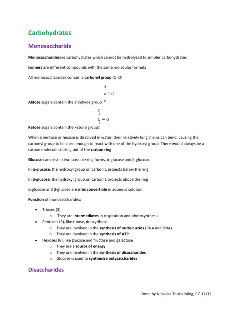 Biology Notes (Carbohydrates) | PDF