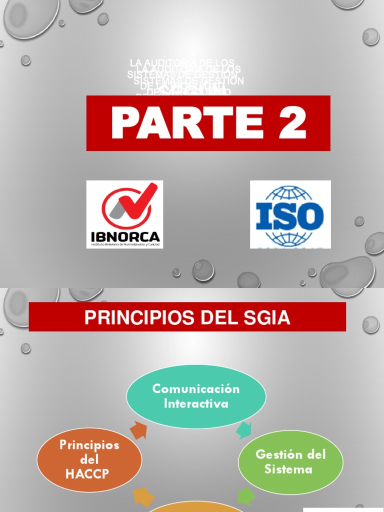 Principios de SGIA | PDF | Análisis de Riesgo y Puntos Críticos de Control