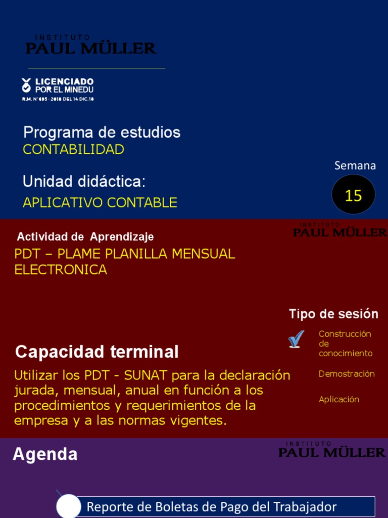 SESION - 15 - PDT - PLAME - 601 (Autoguardado) | PDF | Pensión ...