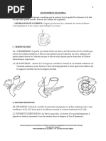 Anatomie des anses grêles et mésentère | PDF | Péritoine | Spécialités ...
