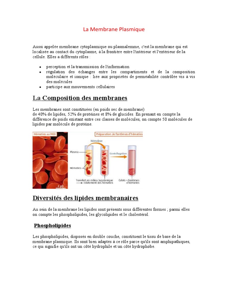 La Membrane Plasmique | PDF | Membrane cellulaire | Phospholipide