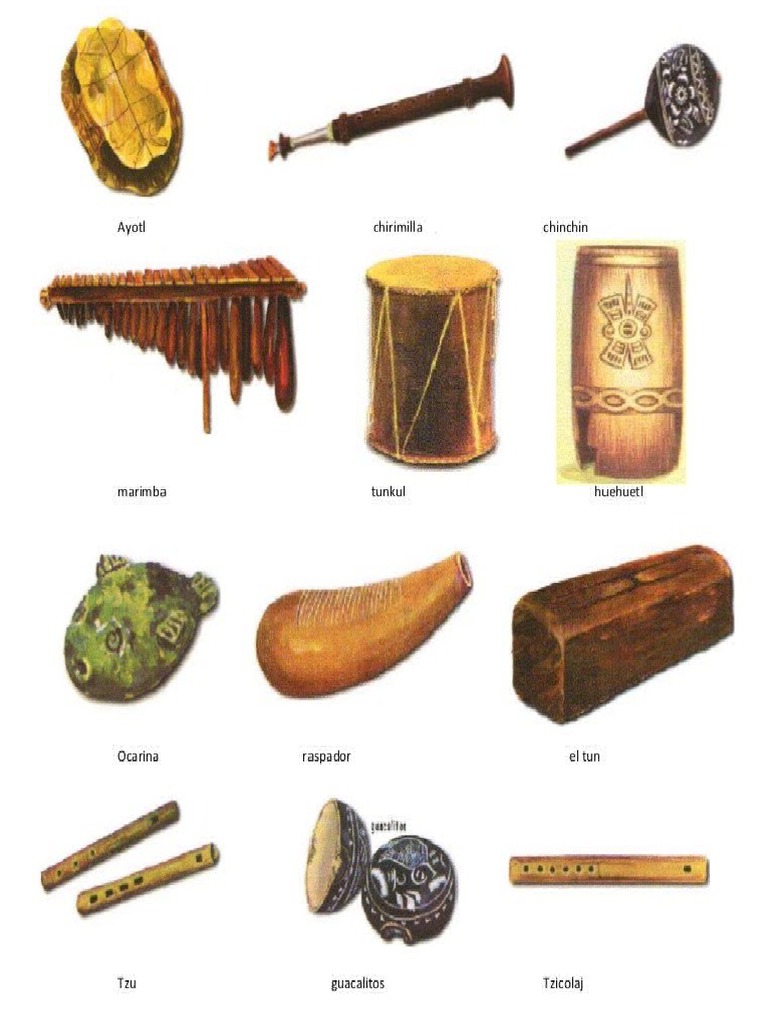 Instrumentos Musicales Indigenas | PDF
