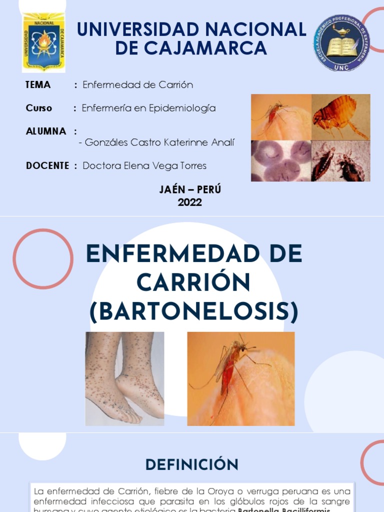 Enfermedad de Carrion | PDF | Medicina | Especialidades Medicas