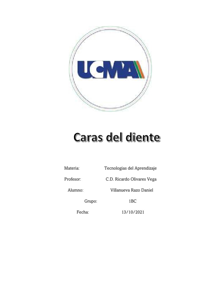 Caras y Superficies de los Dientes | PDF | Anatomia dental | Diente