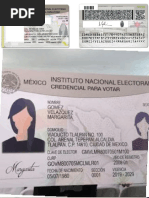 Nueva Plantilla Ine | PDF | Politica de mexico | Elecciones