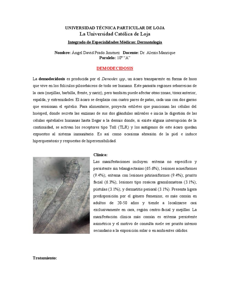 Demodecidosis, Picadura de Pulga | PDF | Medicina | Especialidades Medicas