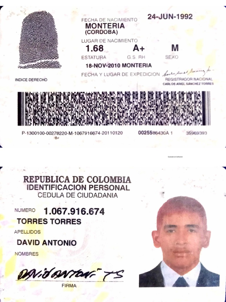 Cédula David Torres | PDF