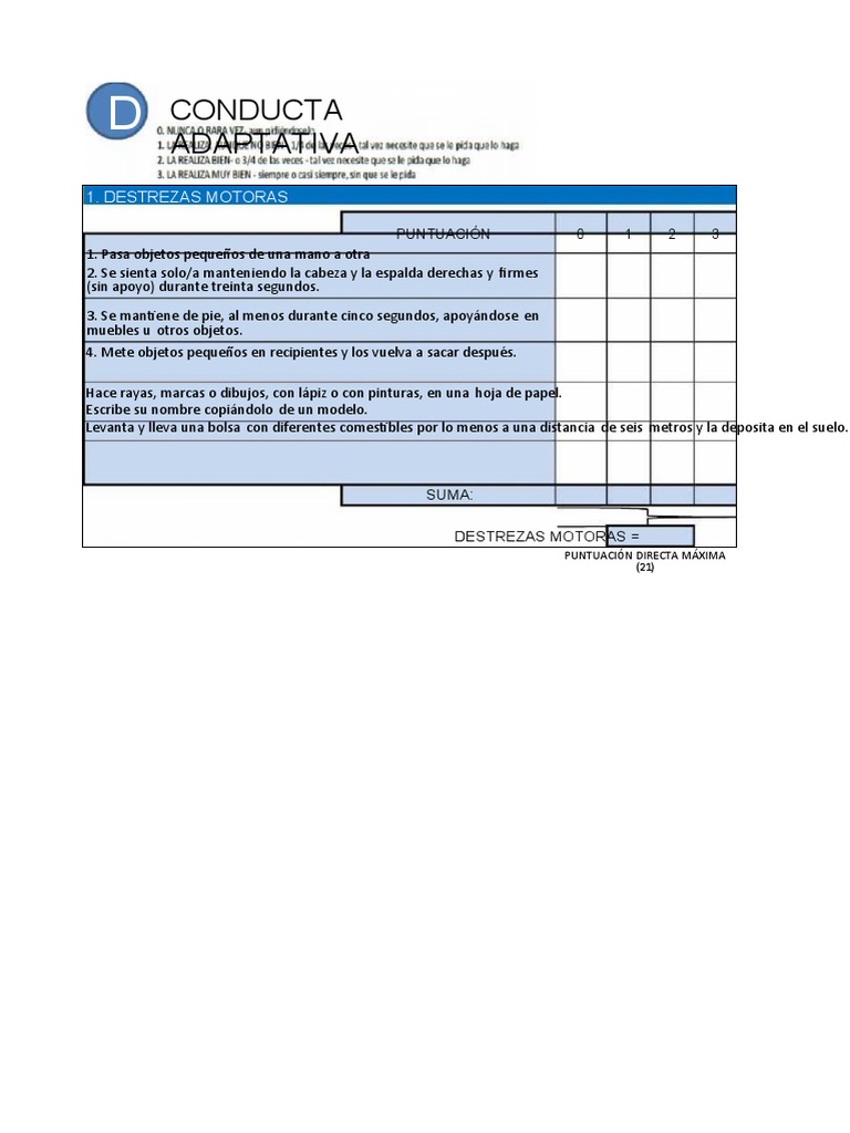 Plantilla Icap Version Chilena v2 1 | PDF