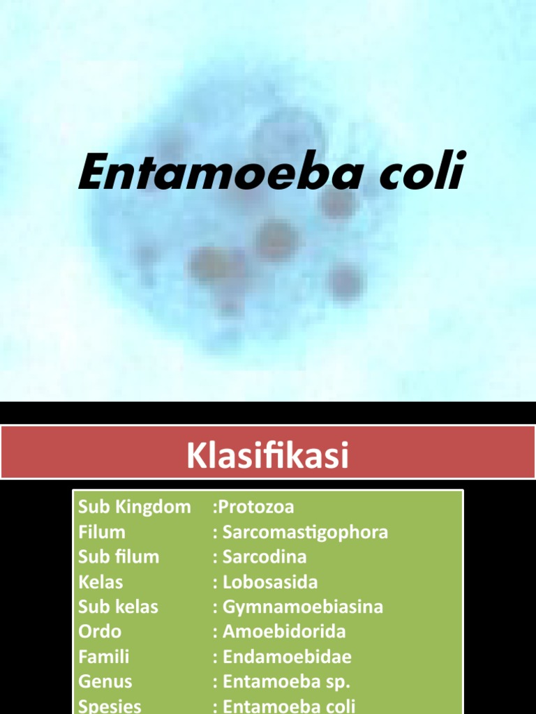 Morfologi dan Peranan Entamoeba coli | PDF | Sains & Matematika
