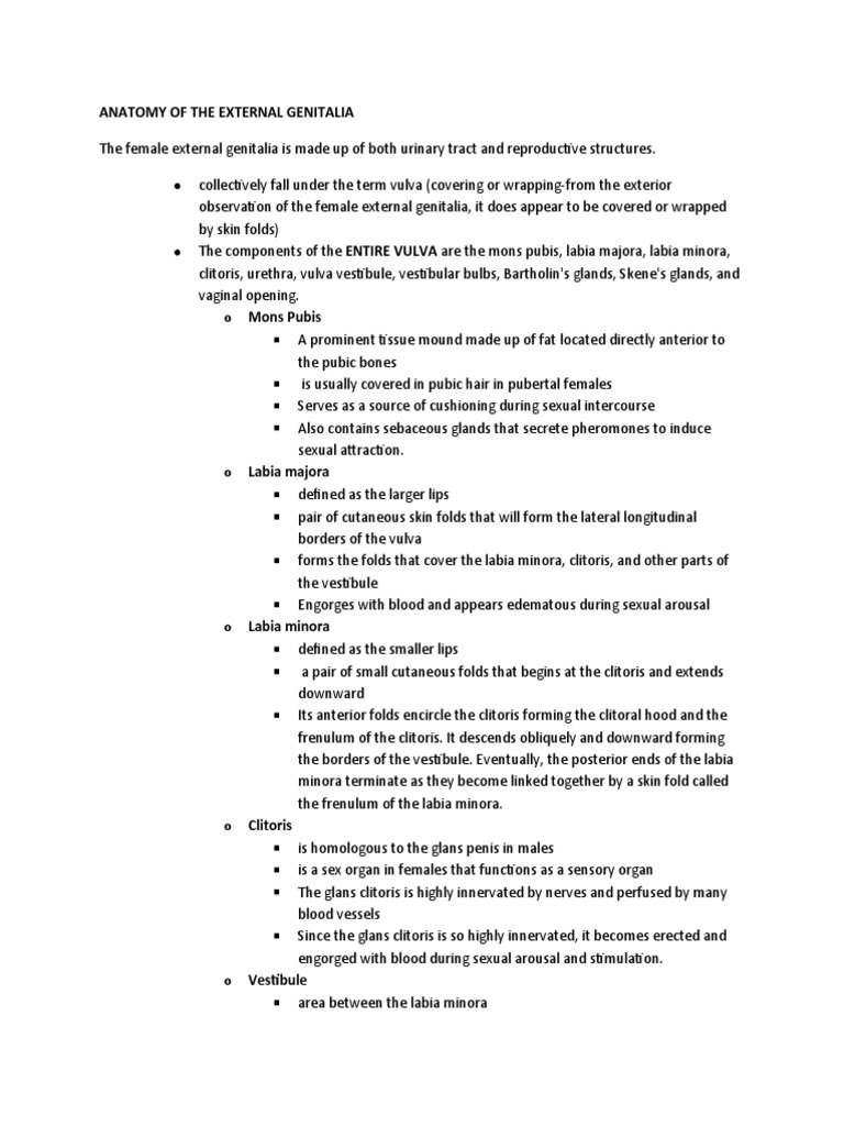 Anatomy of Female External Genitalia | PDF | Labia | Clitoris