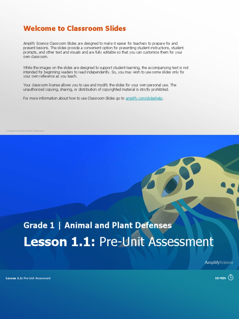 APD Resource Classroom Slides Lesson 1-1 | PDF | Classroom | Leopard