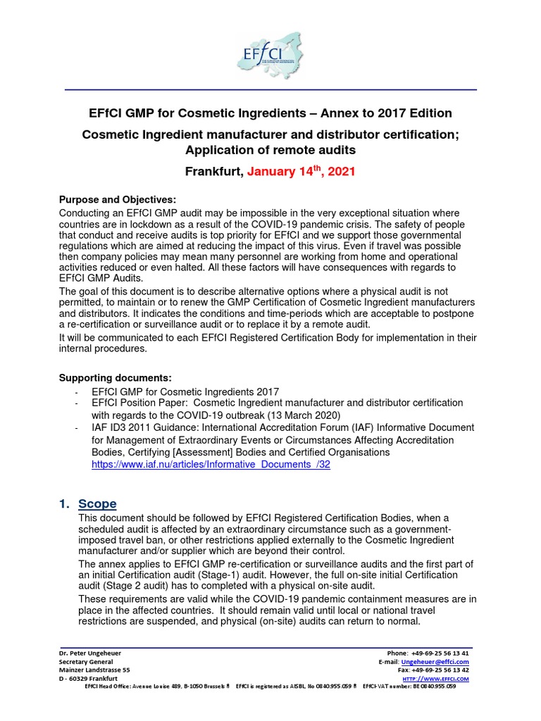 EFfCI GMP - Annex For Remote Audits V3 | PDF | Audit | Auditor's Report