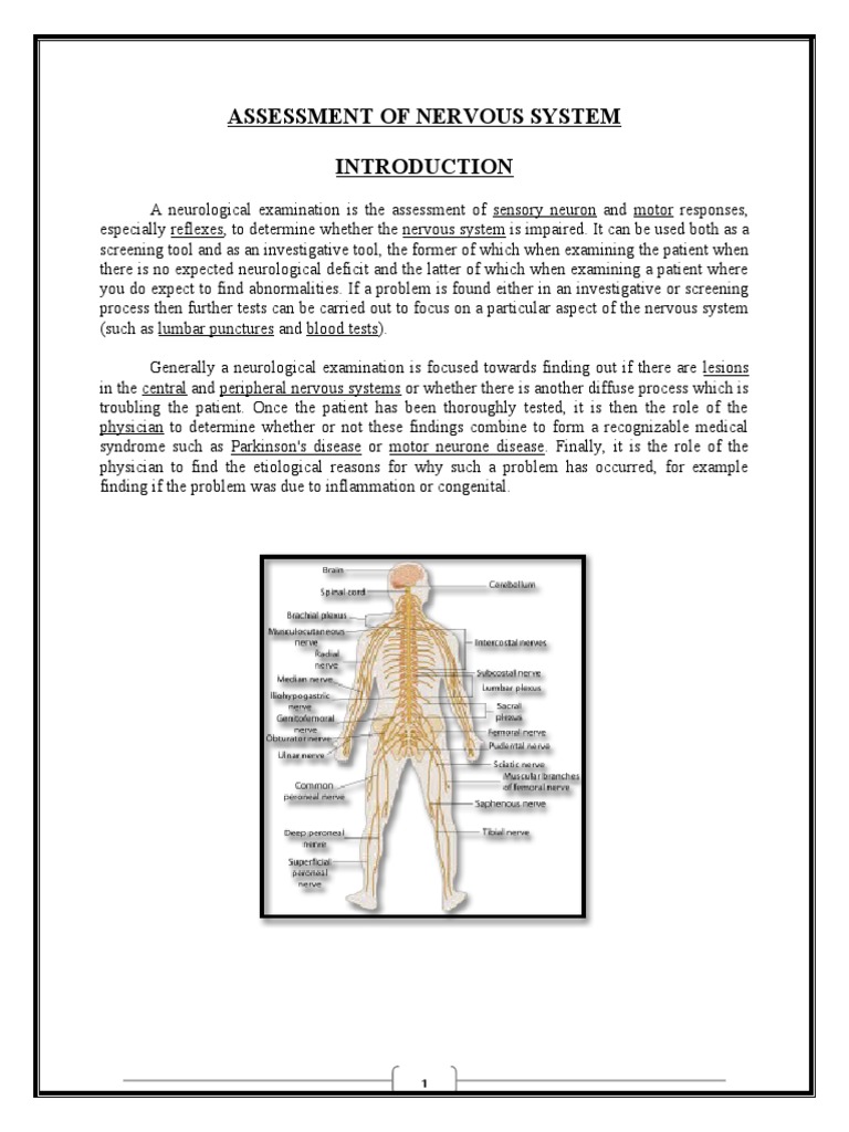 Assessment of Nervous System Exam | PDF | Medical Ultrasound ...