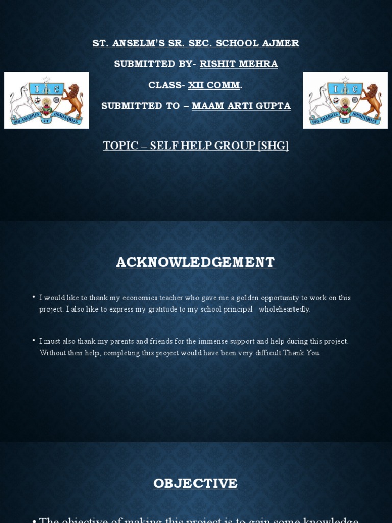 CLASS 12 ECO PROJECT On Self Help Group | PDF