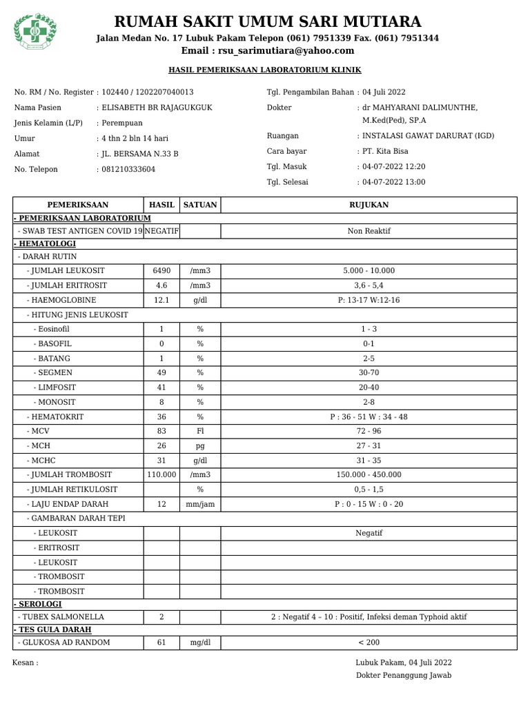 Elisabeth BR Rajagukguk - Hasil Pemeriksaan Lab | PDF