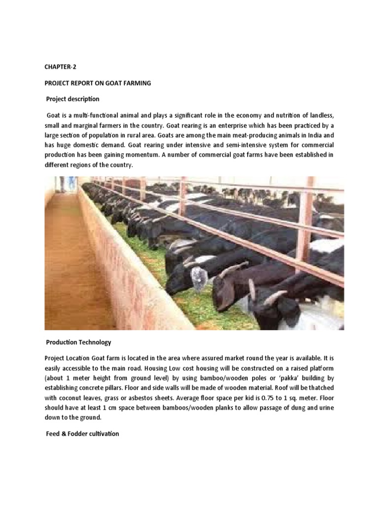 Project Report On Goat Farming | PDF | Goat | Agriculture