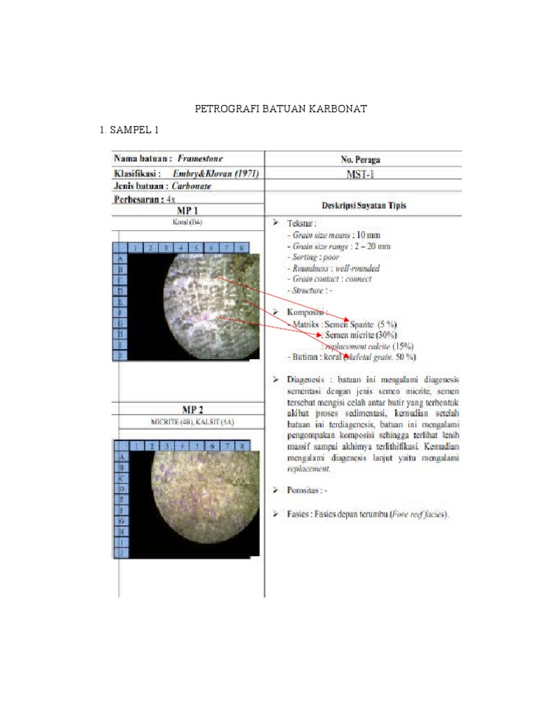 Petrografi Wackestone Karbonat 40x | PDF