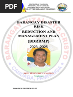 BDRRM LIST OF PPAs | PDF | Emergency Management | Civil Defense