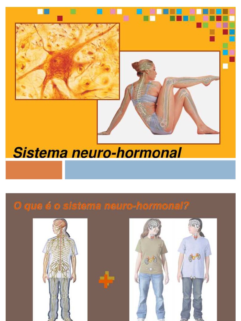 Sistema Neuro-Hormonal em Foco | PDF | Autoajuda | Ciências e Matemática