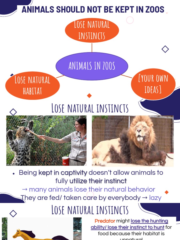 Unit 4 Animal Intelligent 2 | PDF | Zoo | Hunting