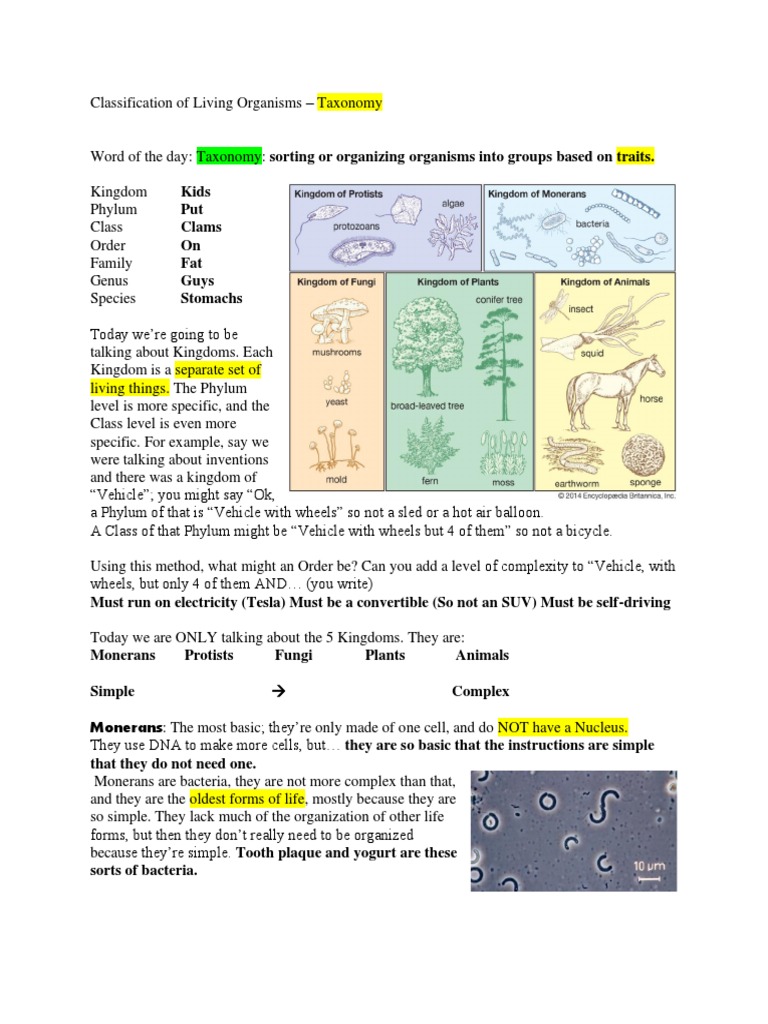 Five Kingdoms-1 | PDF | Plants | Fungus