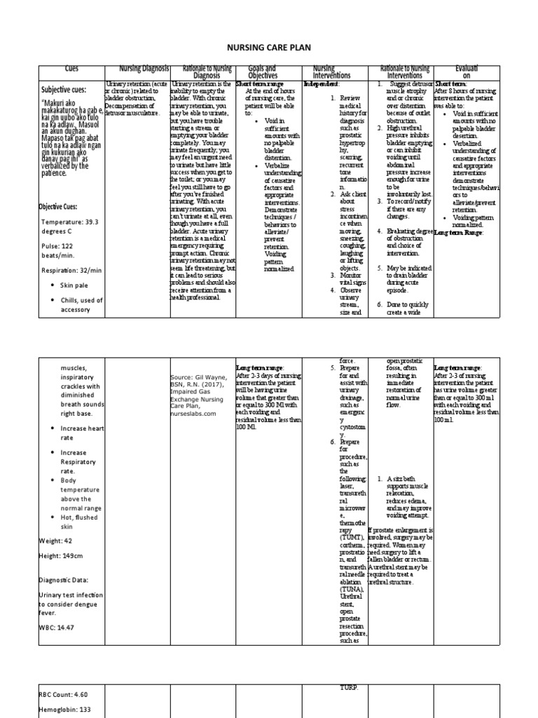 NCP Urine Retention | PDF | Urinary Incontinence | Urination