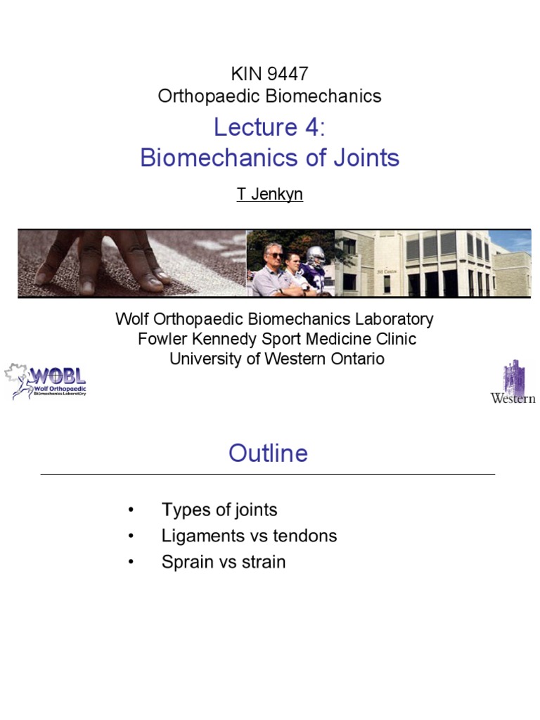 Biomechanics of Joints | PDF | Joint | Knee