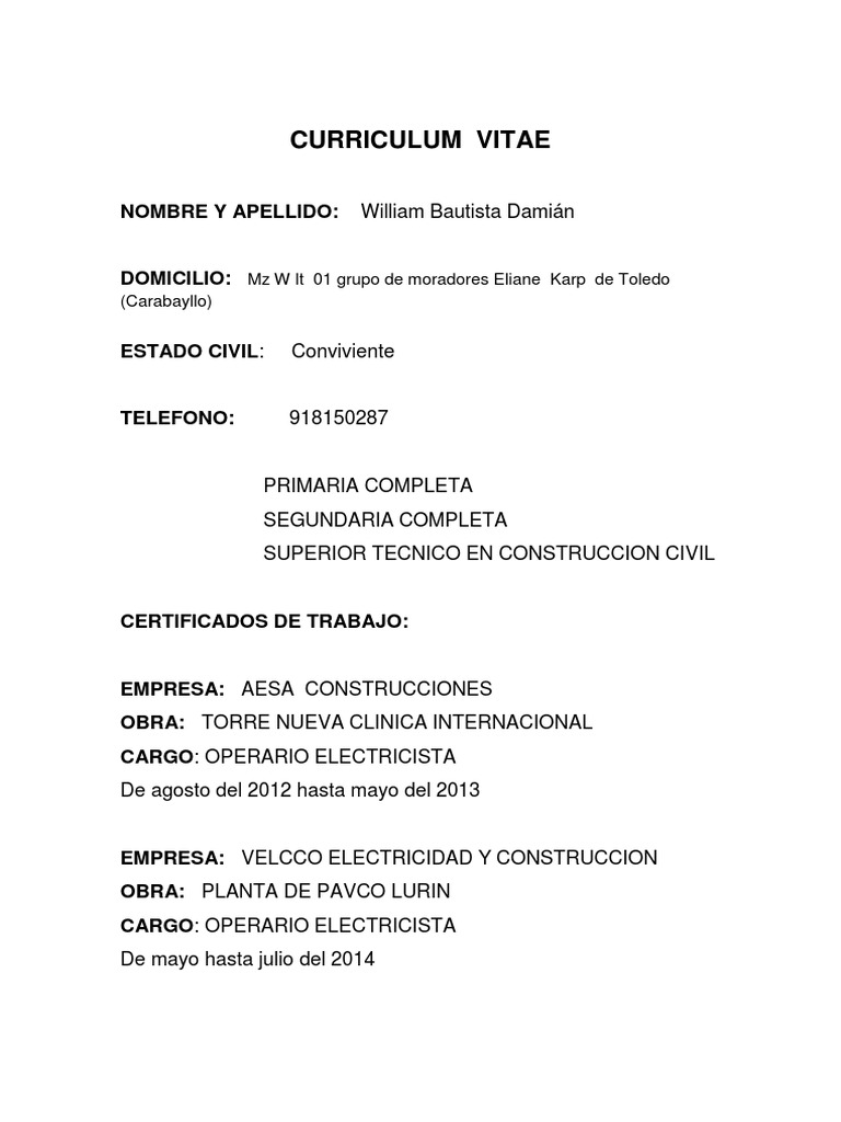 Currículum Vitae Documentado | PDF