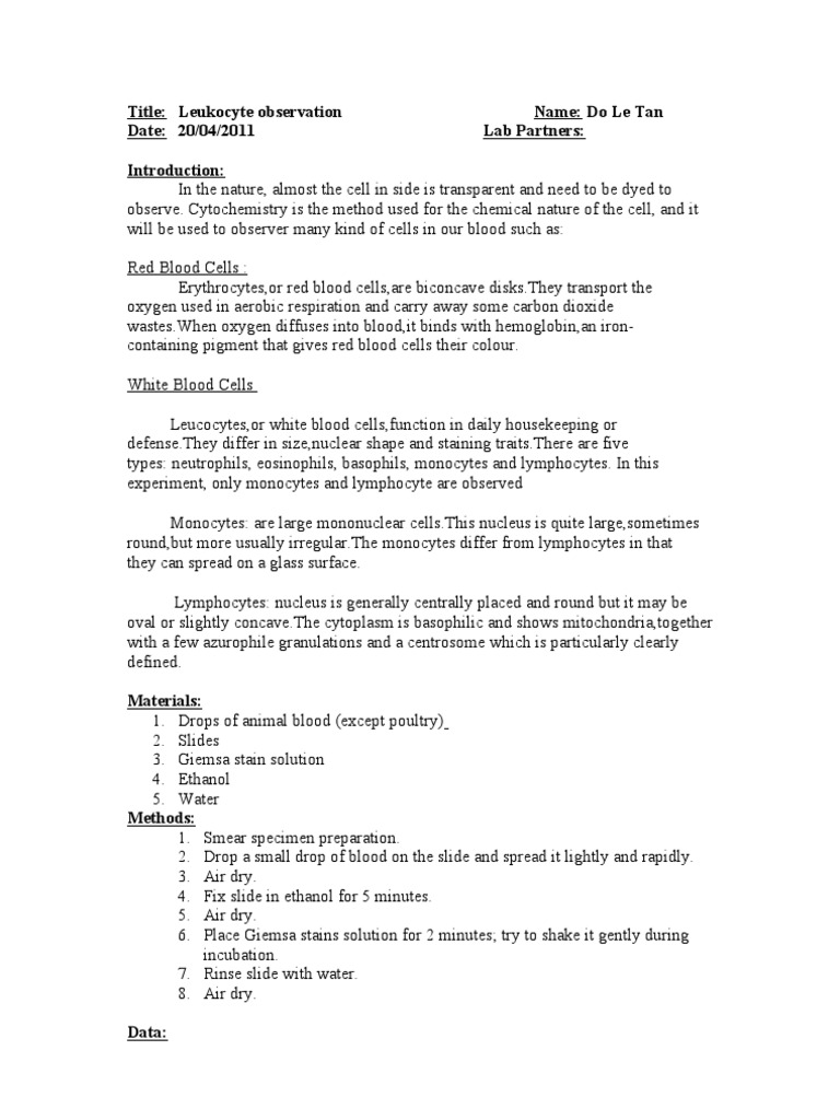 Lab Report | PDF | White Blood Cell | Blood