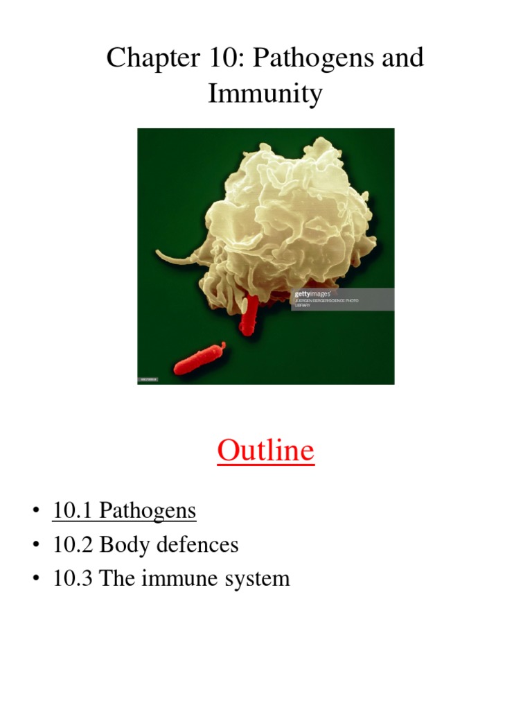 Chapter 10 - Pathogens and Immunity | PDF | Transmission (Medicine ...