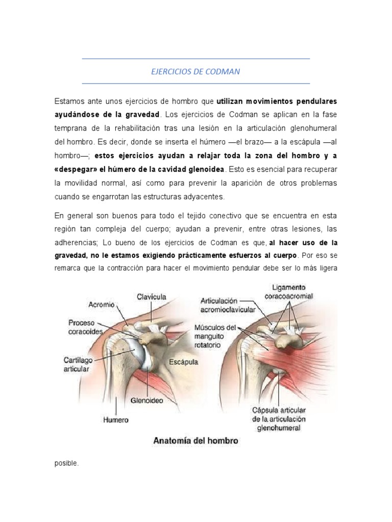 Ejercicios de Codman | PDF | Hombro | Sistema musculoesquelético
