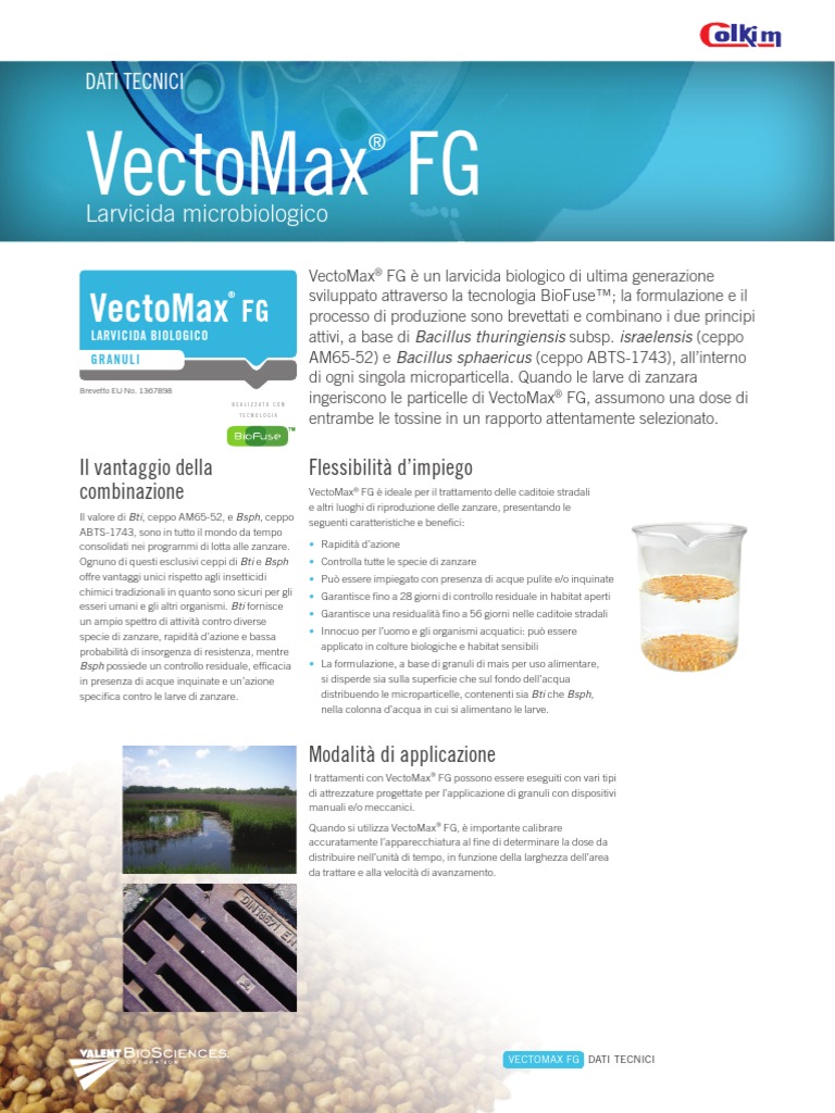 Schede Vectomax | PDF