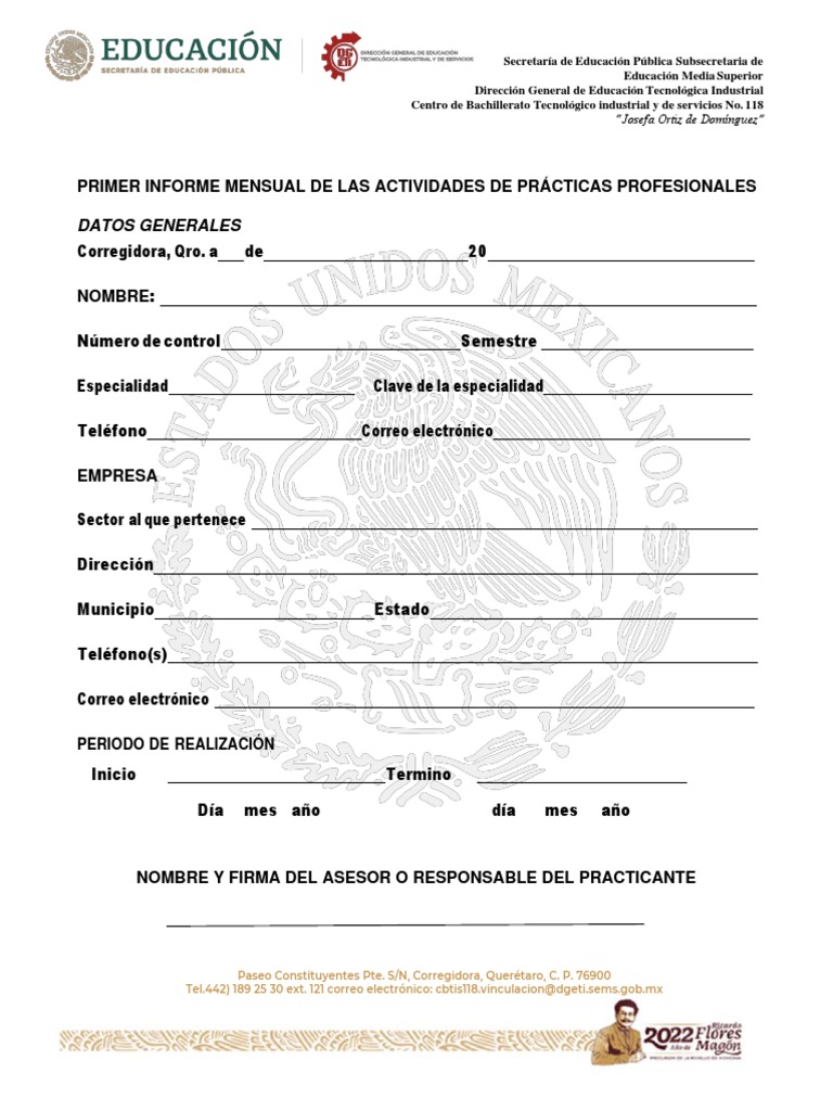 Formato de Informes Practicas Profesionales 2022 | PDF