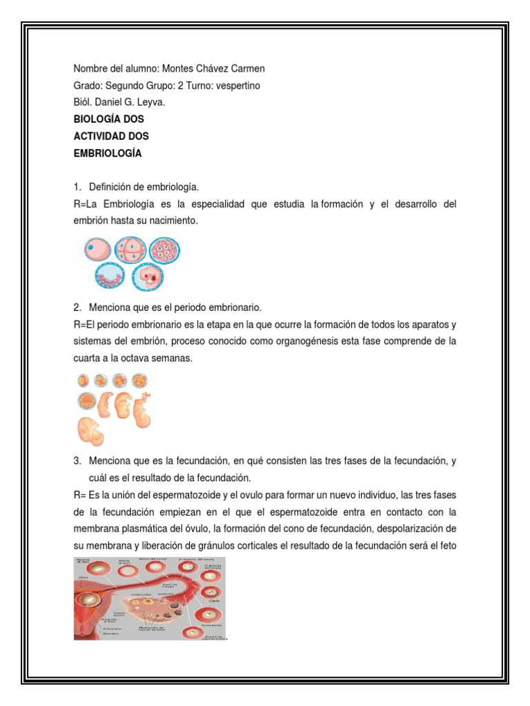 Desarrollo embrionario humano: Formación de órganos y sistemas a partir ...