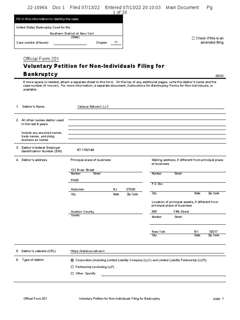 Voluntary Petition For Non-Individuals Filing For Bankruptcy | PDF ...
